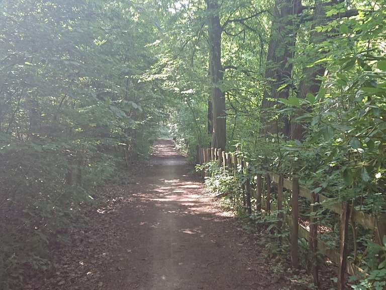 Top 10 Hikes and Walks around Ravenshead | Komoot