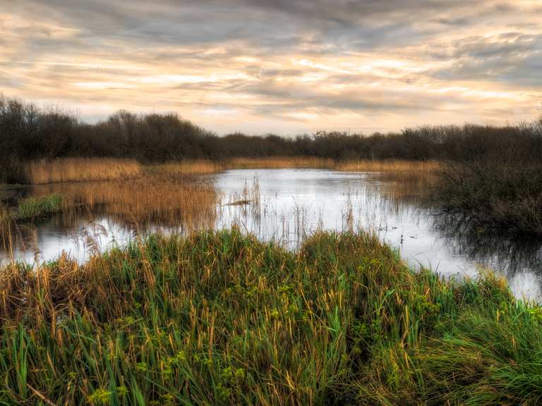 Die 10 schönsten Wanderungen rund um Surlingham | Komoot