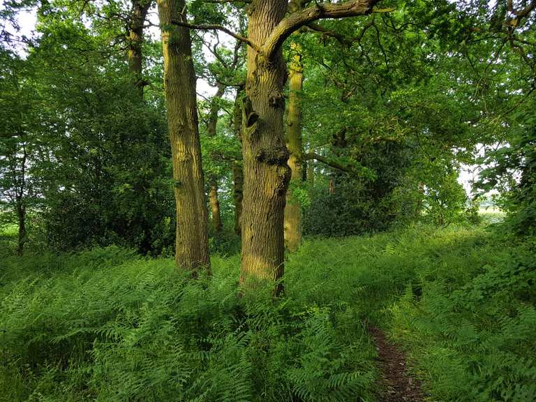 The best walks and hikes around Wolverhampton | Komoot