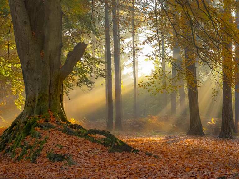 Top 10 Hikes and Walks around Harlestone | Komoot