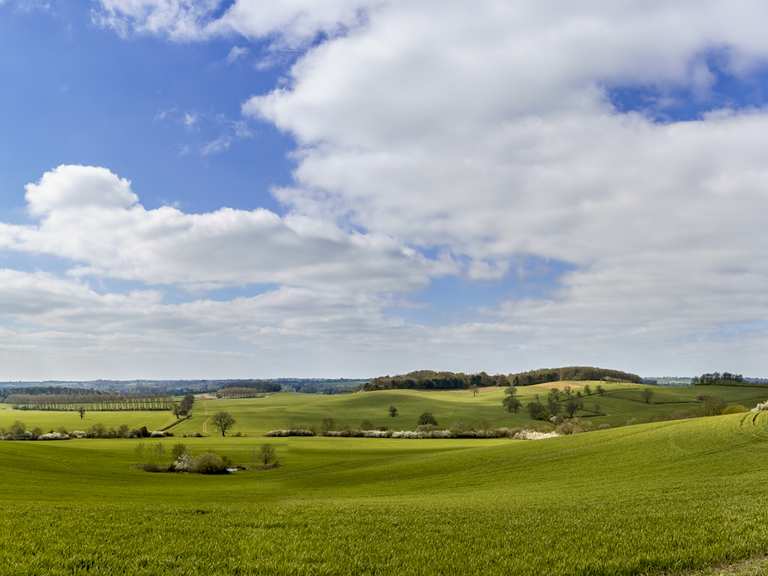 De 5 mooiste wandelroutes rond Holcot | Komoot