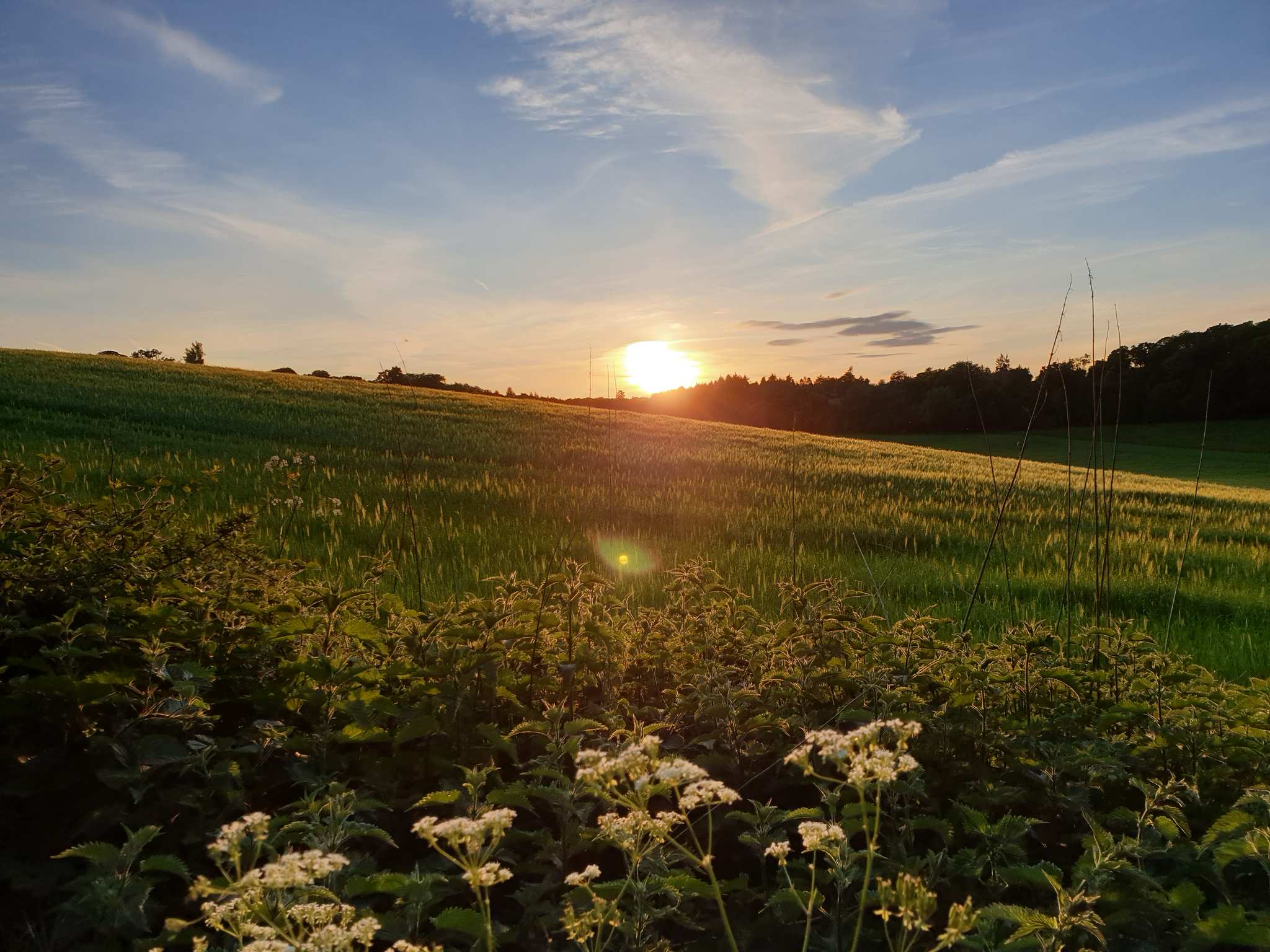 Top 5 Hikes and Walks around Sonning Common | Komoot