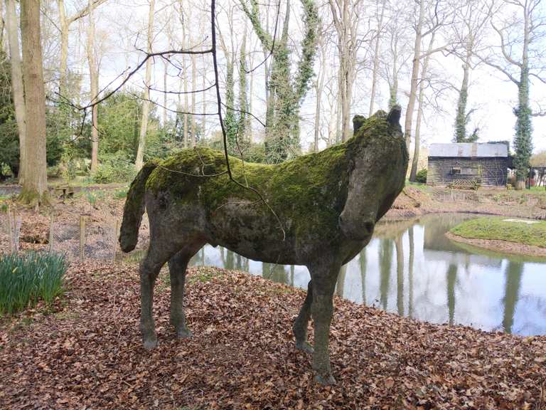 Top 10 Hikes and Walks around Checkendon | Komoot