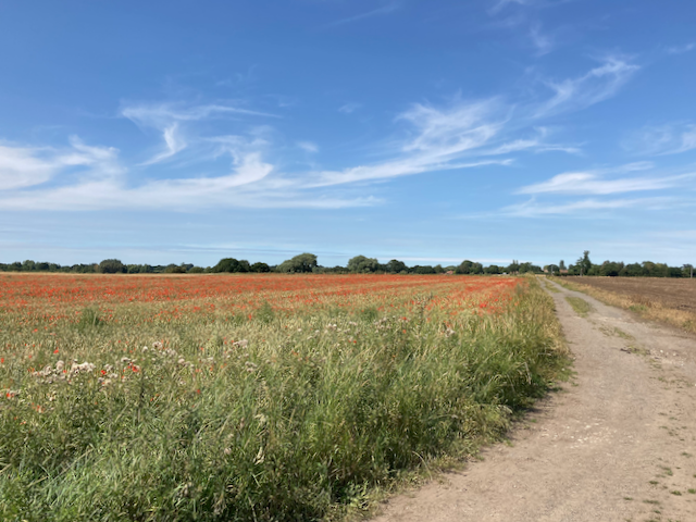 Top 10 Bike Rides and Cycling Routes around York | Komoot