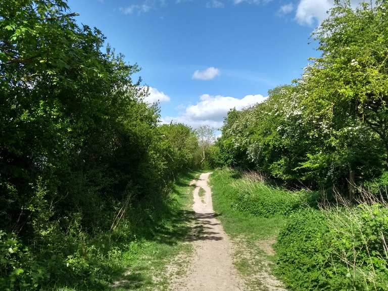 De 5 mooiste wandelroutes rond Chalgrove | Komoot