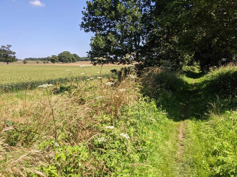 The best walks and hikes around Marsh Baldon | Komoot