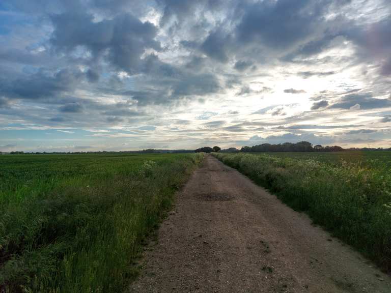 Die 15 schönsten Fahrradtouren rund um Berinsfield | Komoot
