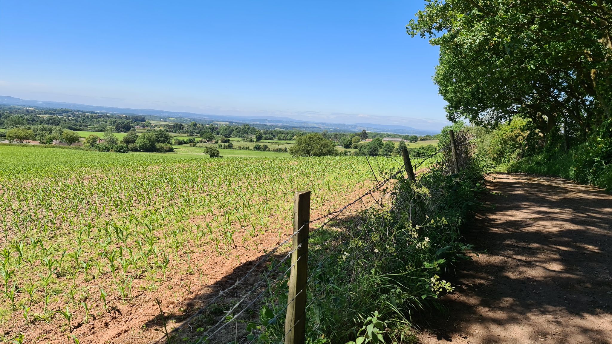 Top 10 Hikes and Walks around Belbroughton | Komoot