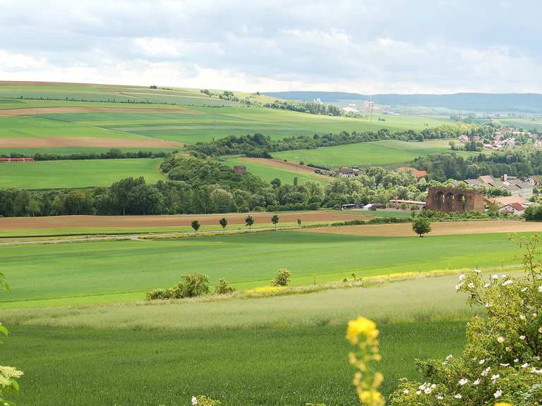 Die 10 schönsten Wanderungen rund um Zellertal | Komoot