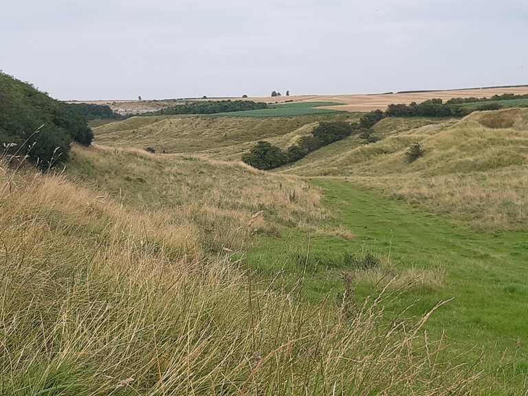 Top 8 Hikes and Walks around Nettleton | Komoot