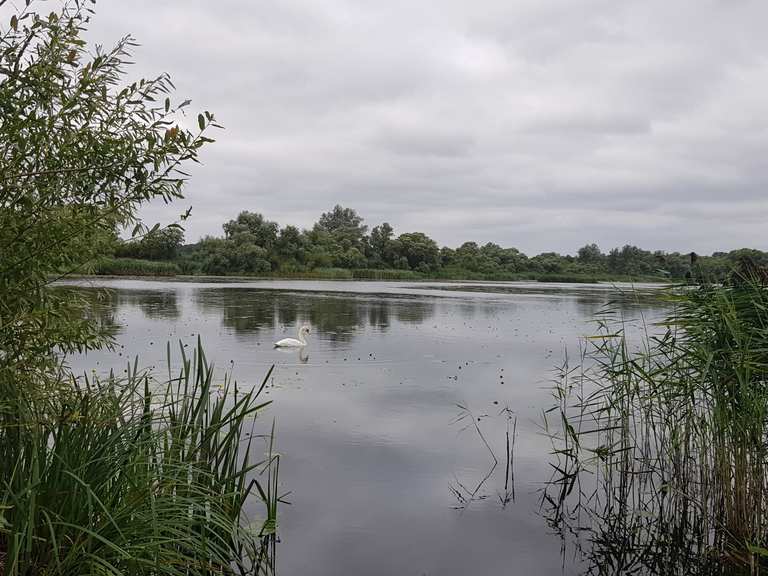 Top 18 Bike Rides and Cycling Routes around Brundall | Komoot