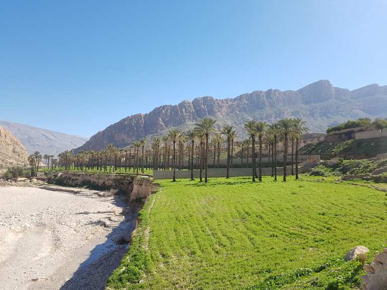 Top 6 Hikes and Walks in Kuwait | Komoot