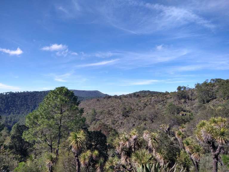 Top 10 Bike Rides and Cycling Routes in Mexico | Komoot