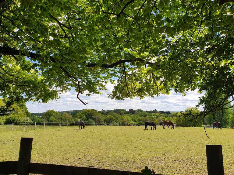 Top 18 Hikes and Walks around Crockenhill | Komoot