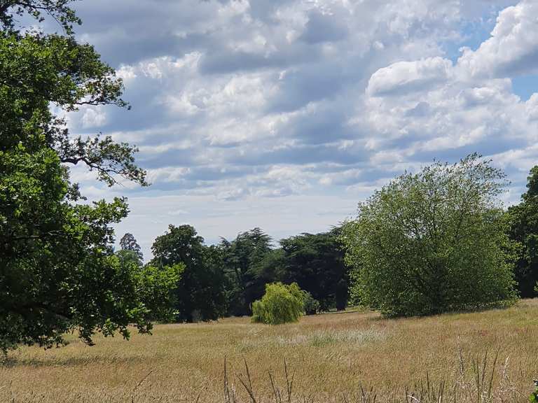 Top 10 Hikes and Walks around Coxheath | Komoot