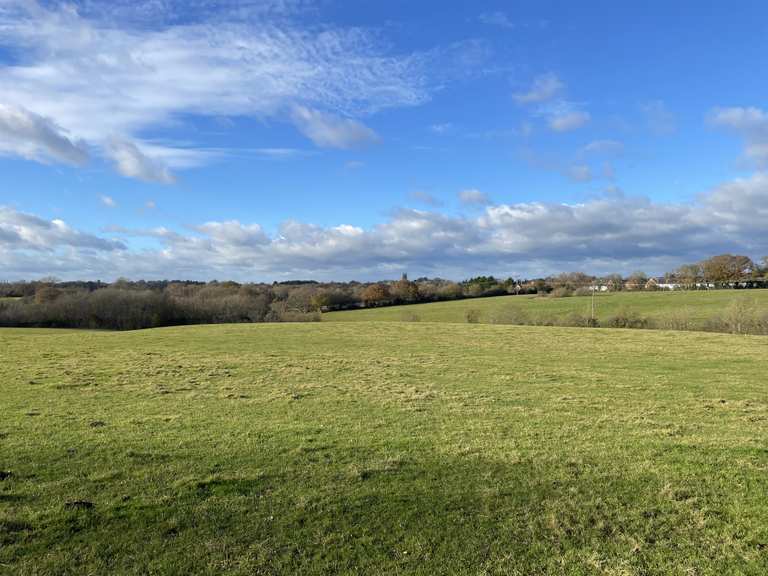 The best walks and hikes around Tenterden | Komoot