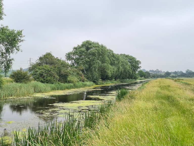 Top 10 Hikes and Walks around Appledore | Komoot