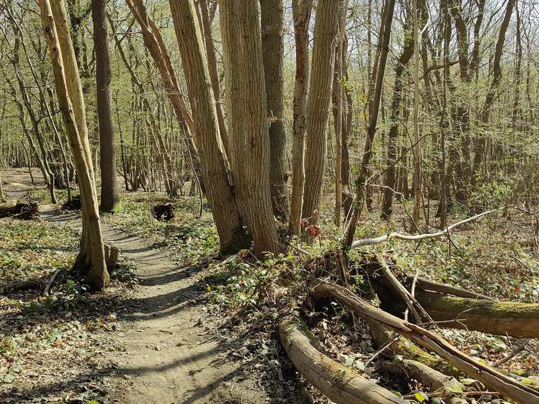 Die 9 schönsten Wanderungen rund um Westbere | Komoot