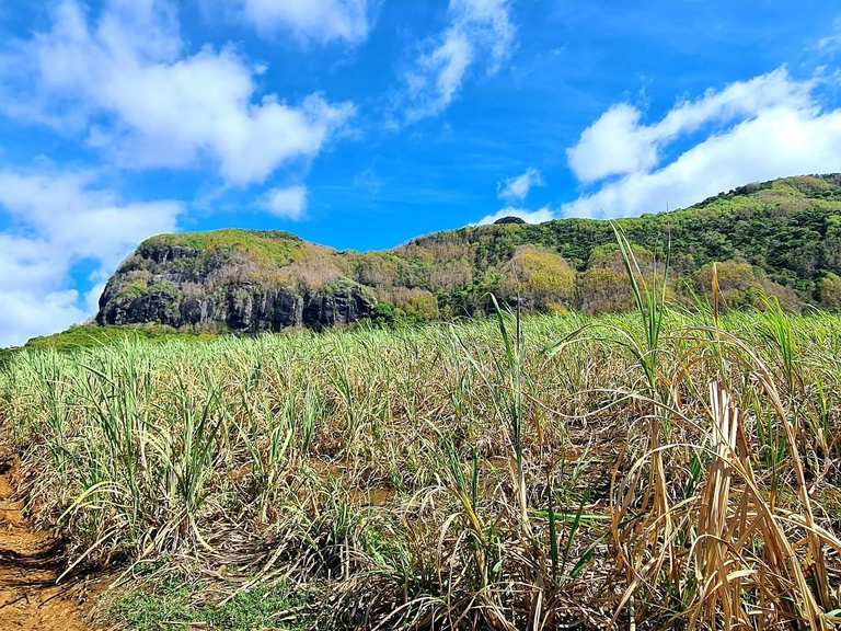 Top 10 Running Trails in Mauritius | Komoot