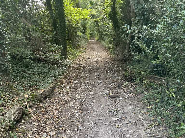 Die 7 schönsten Wanderungen rund um Eythorne | Komoot