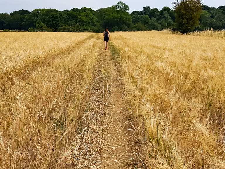 Top 9 Hikes and Walks around Chaldon | Komoot
