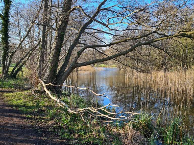 The best walks and hikes around Northwold | Komoot
