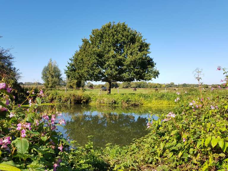 Top 10 Hikes and Walks around Chailey | Komoot