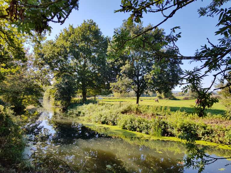 Top 10 Hikes and Walks around Ringmer | Komoot