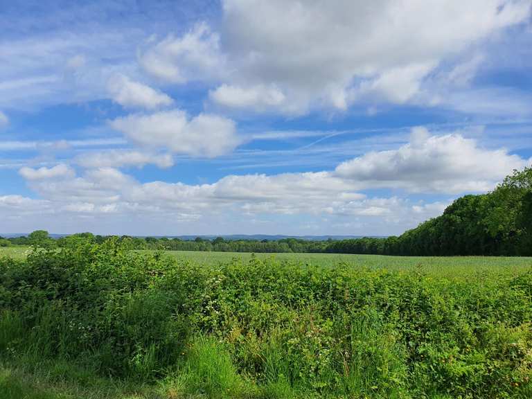 Top 10 Hikes and Walks around Felbridge | Komoot