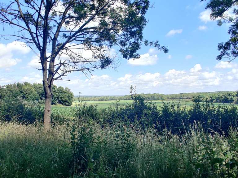 Top 10 Hikes and Walks around Wivelsfield | Komoot