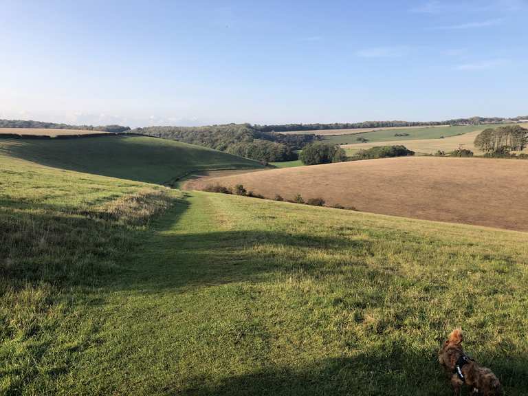 Top 10 Hikes and Walks around Pyecombe | Komoot