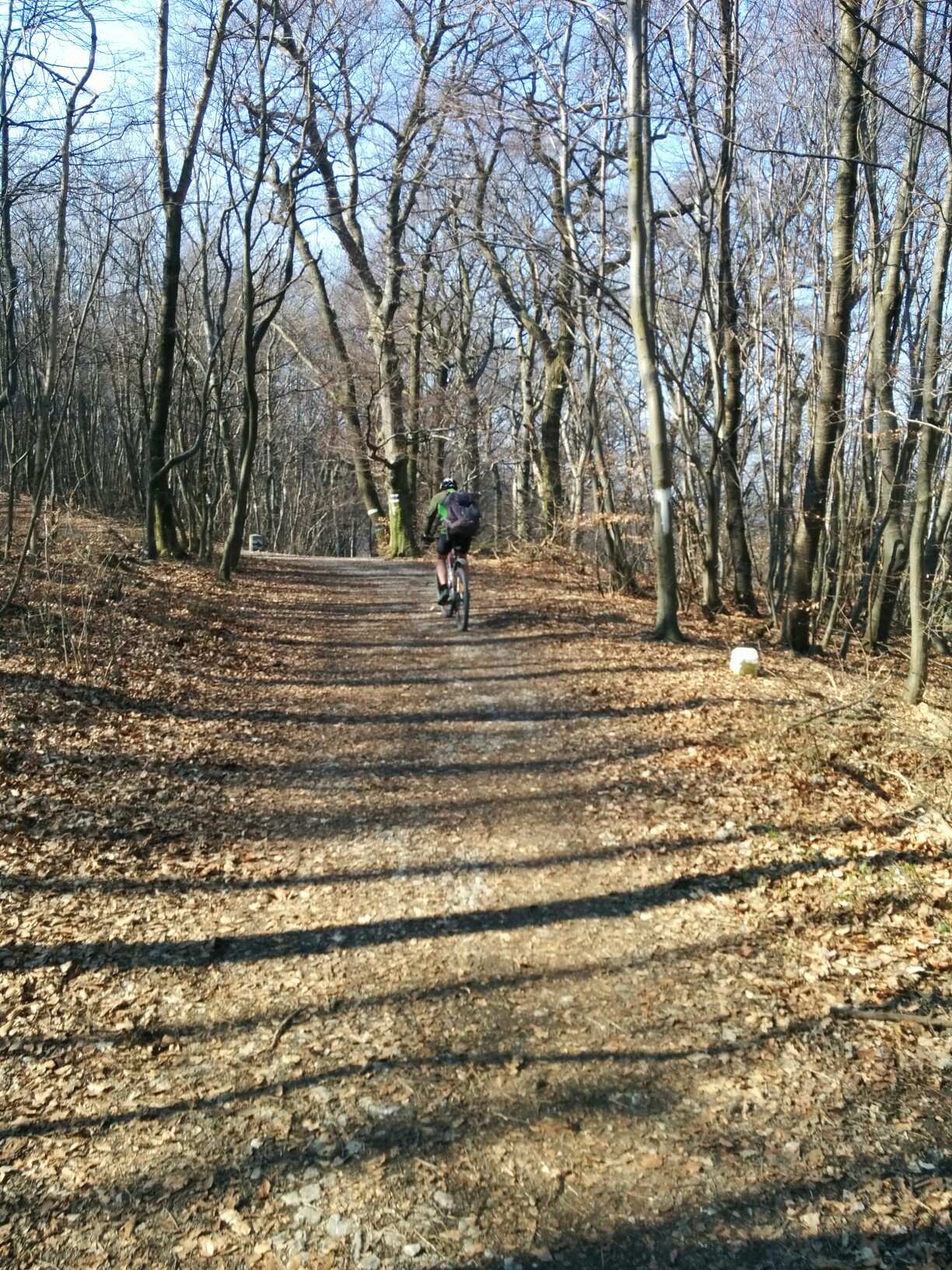 Top 20 Most Beautiful MTB Trails in Vienna | Komoot