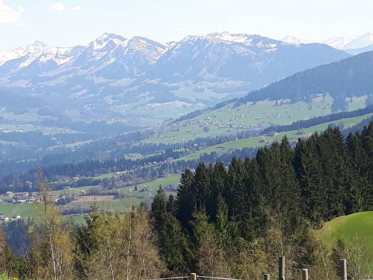 Die 10 schönsten Wanderungen rund um Lochau | Komoot