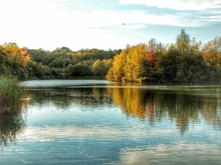 Top 8 Hikes and Walks around Lower Beeding | Komoot