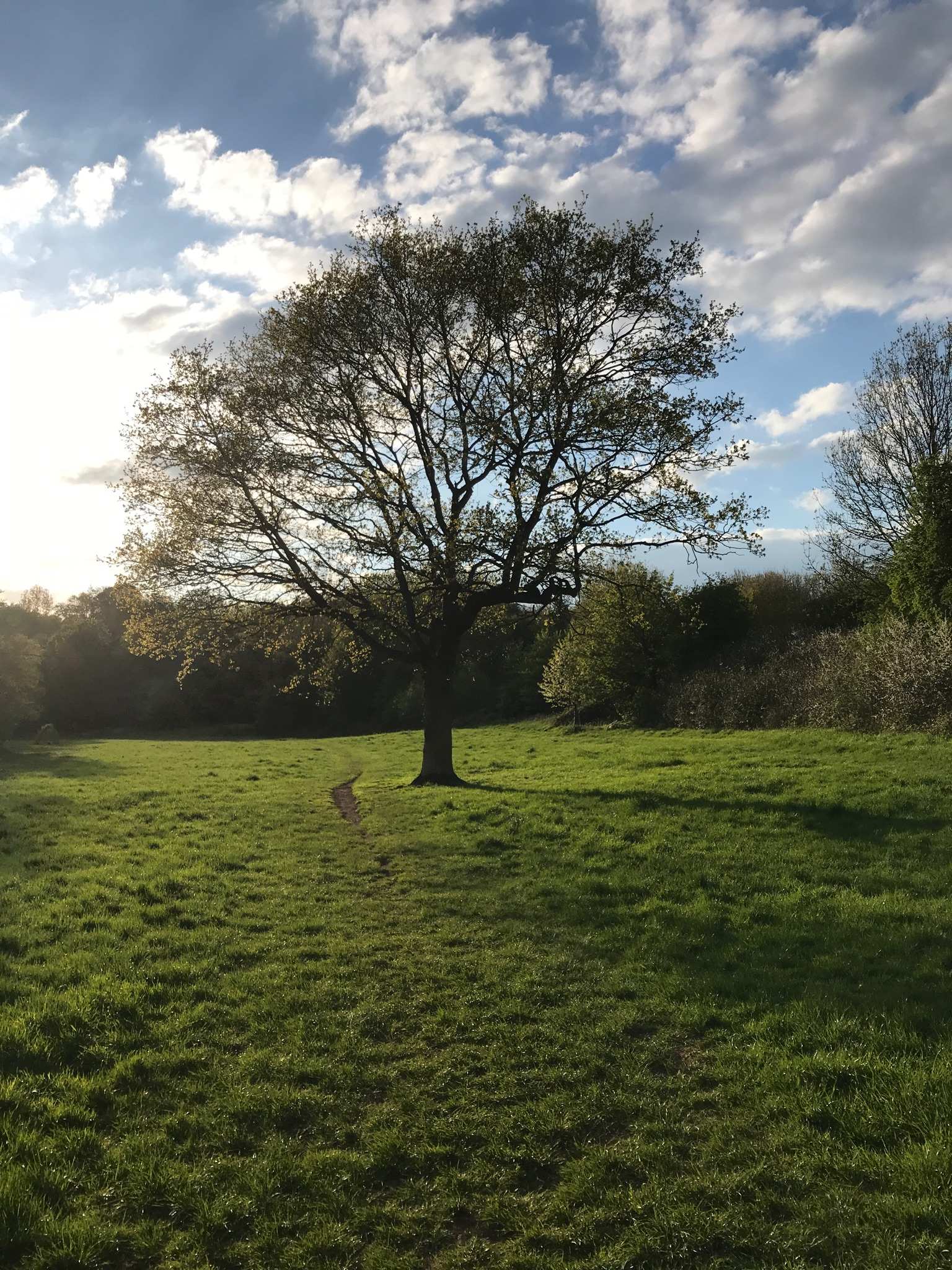 Top 20 Hikes and Walks around Frome | Komoot