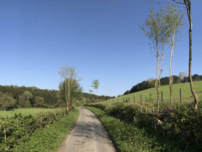 The best walks and hikes around Wellow | Komoot