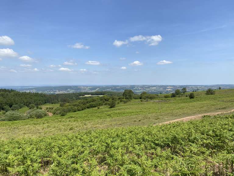 Die 10 schönsten Wanderungen rund um Wrington | Komoot