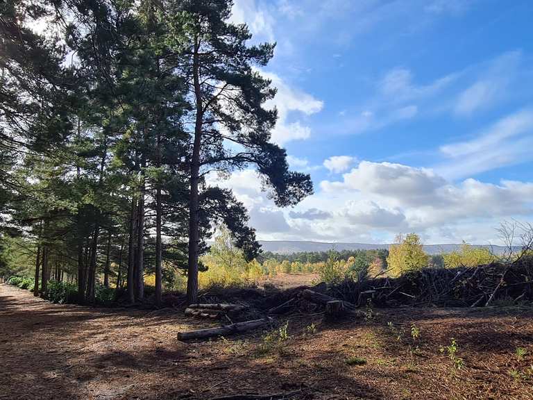 Top 10 Hikes and Walks around Duncton | Komoot