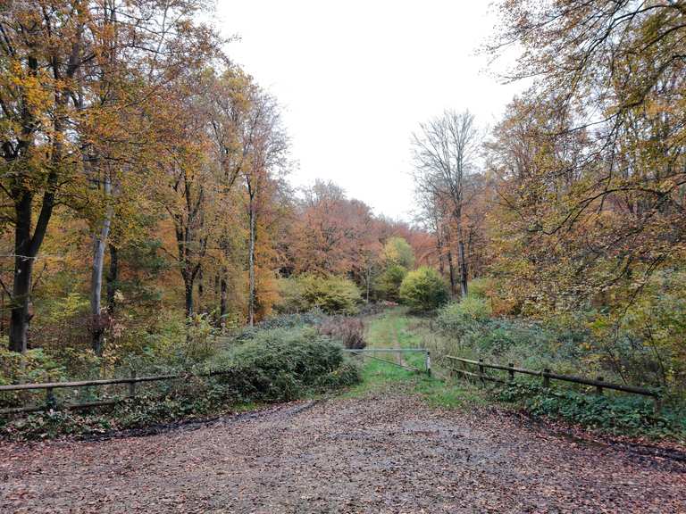 Top 10 Hikes and Walks around Marden | Komoot