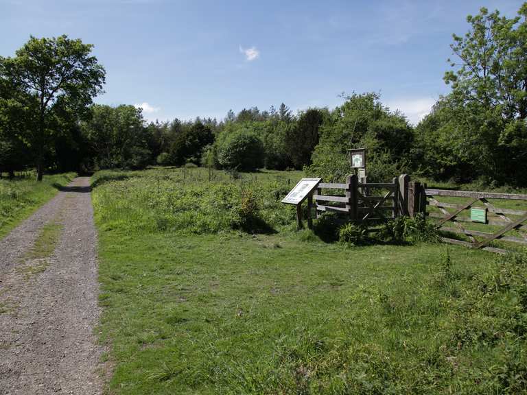 Top 10 Hikes and Walks around Graffham | Komoot