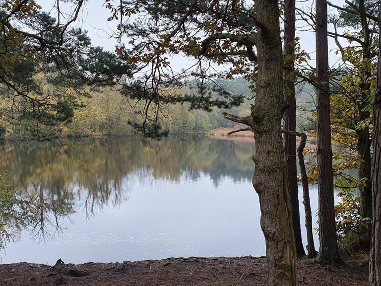 Top 10 Hikes and Walks around Windlesham | Komoot