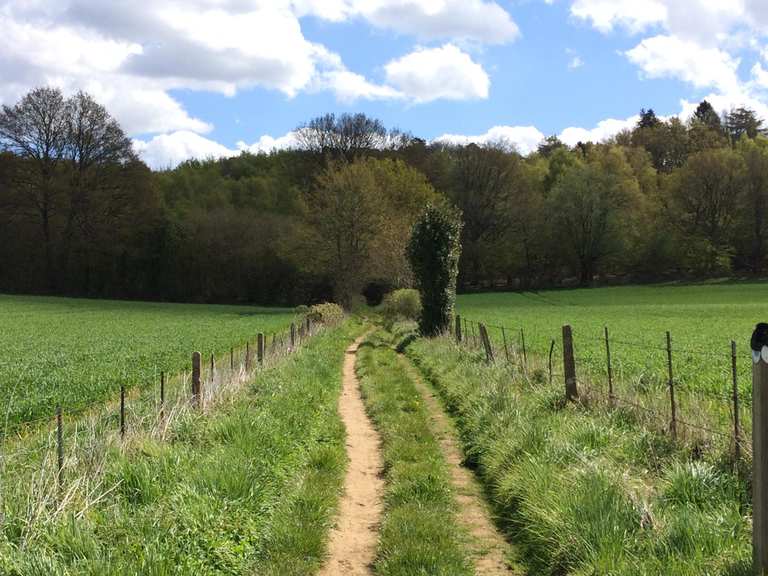 Attractions and Places To See around Busbridge - Top 20 | Komoot