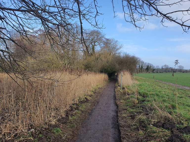 Top 8 Hikes and Walks around Letcombe Regis | Komoot