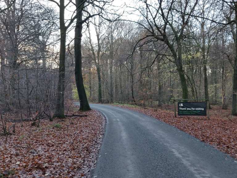 Top 10 Bike Rides and Cycling Routes around Halton | Komoot