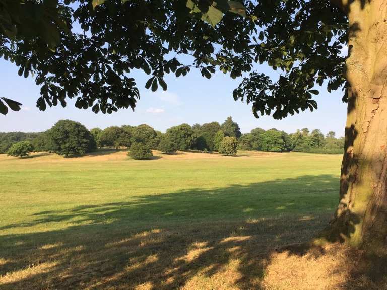 Top 20 Hikes and Walks around Doddinghurst | Komoot