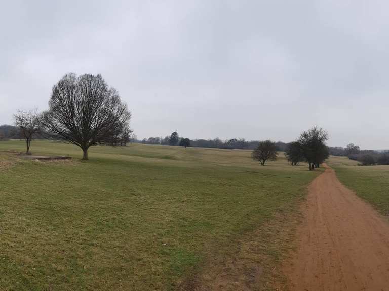 Top 10 Bike Rides and Cycling Routes around Doddinghurst | Komoot