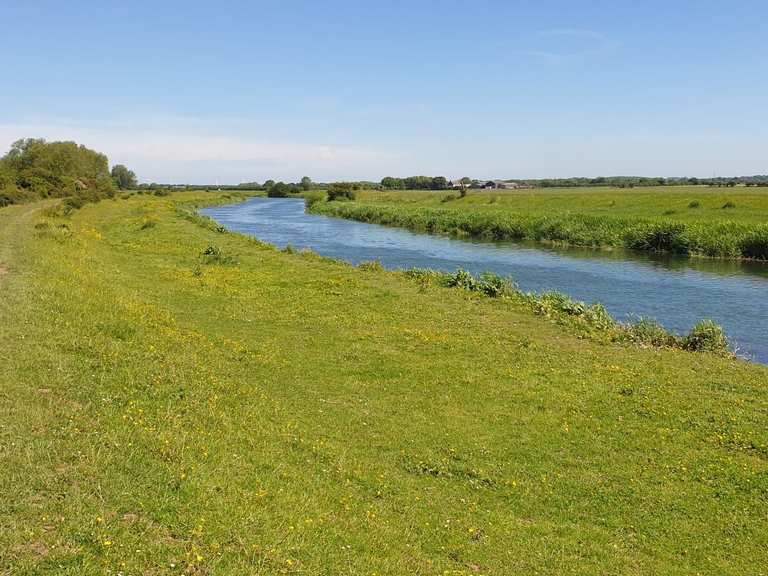 Top 8 Bike Rides and Cycling Routes around Skirlaugh | Komoot