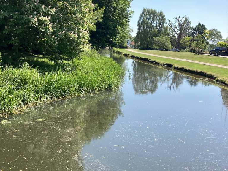 Top 10 Hikes and Walks around Ingatestone And Fryerning | Komoot