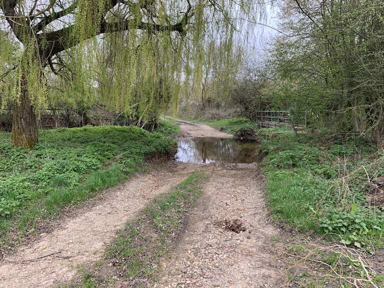 Top 10 Bike Rides and Cycling Routes around Ingatestone And Fryerning ...