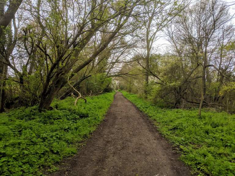 The best walks and hikes around Writtle | Komoot